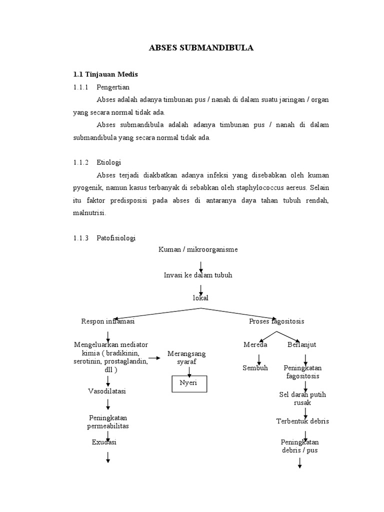 Abses Submandibula: Gejala, Diagnosis, dan Perawatan | PDF ...