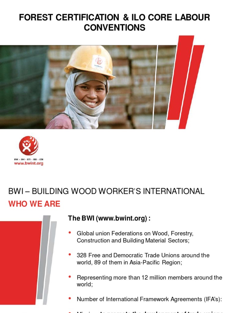 Forest Certification & Ilo Core Labour Conventions | PDF | International Labour Organization ...