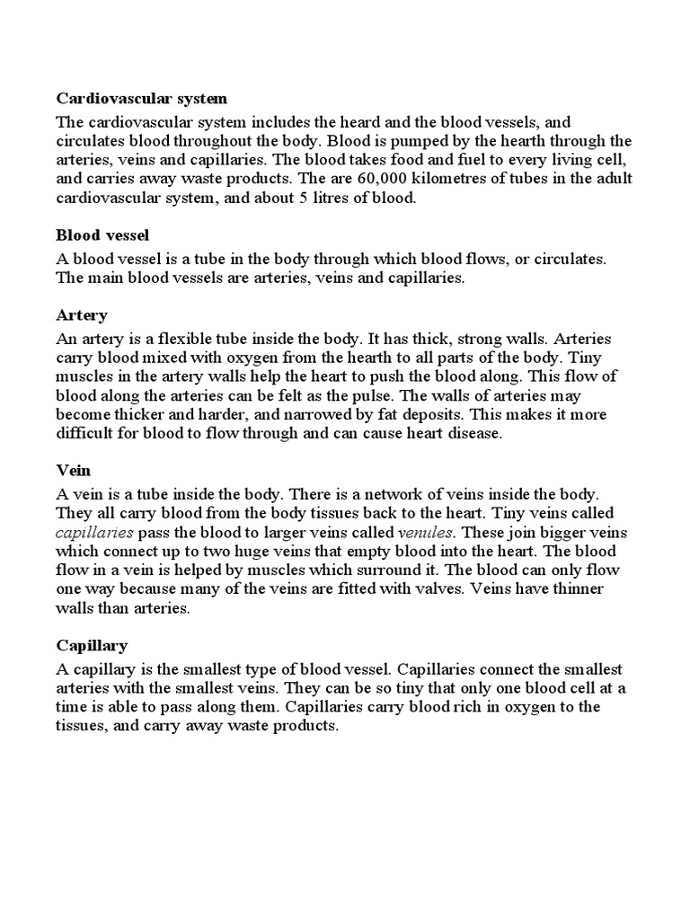 Cardiovascular System | PDF | Wellness