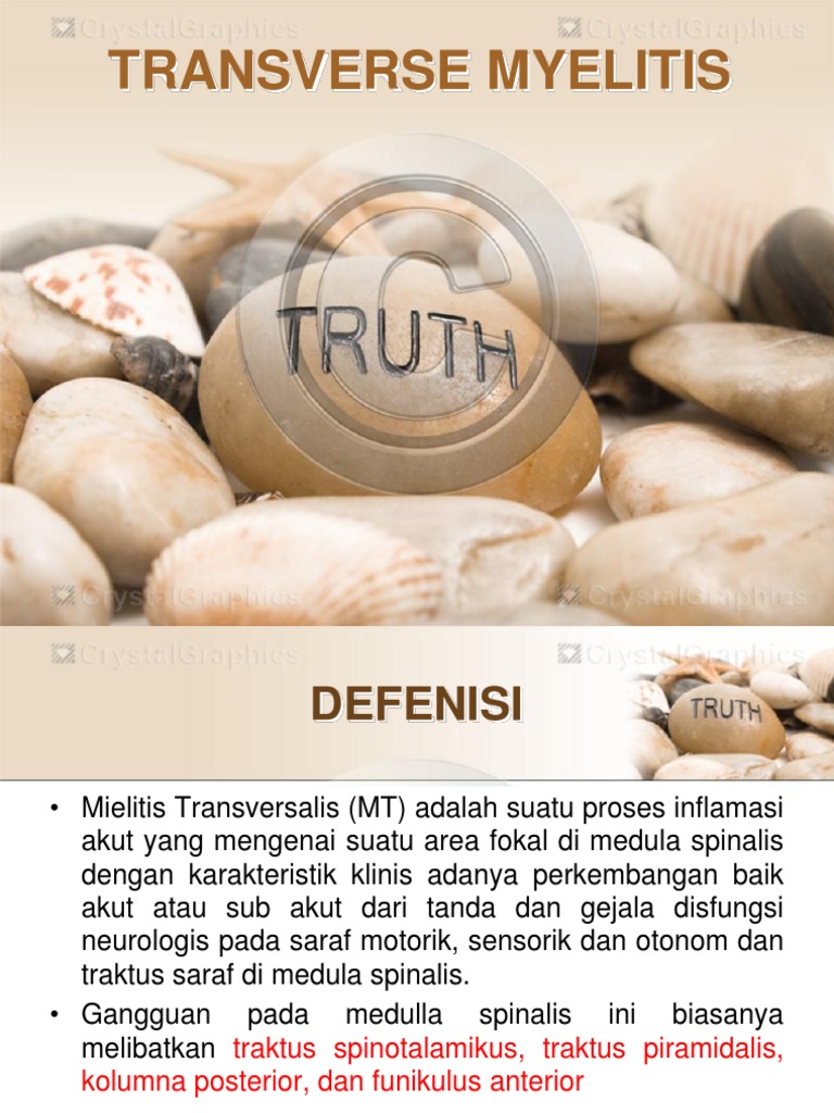 Panduan Mielitis Transversa | PDF