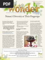 A NARRATIVE REPORT ON TREE Planting | PDF | Botany | Organisms