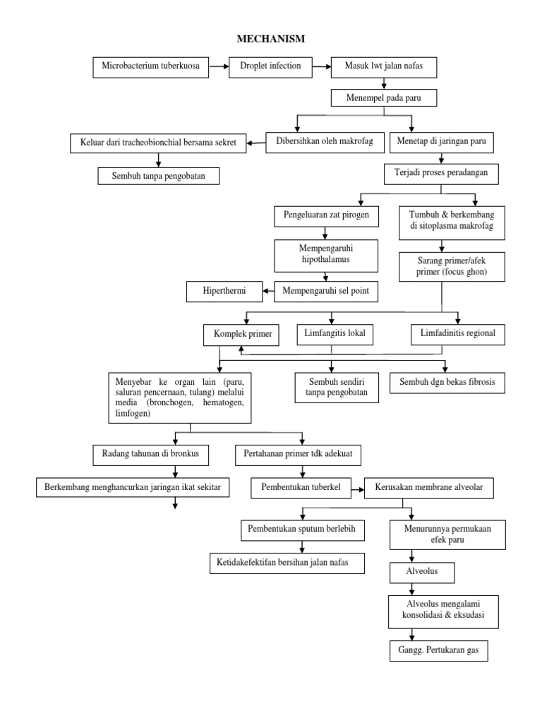Pathway TBC Tutor 1 | PDF