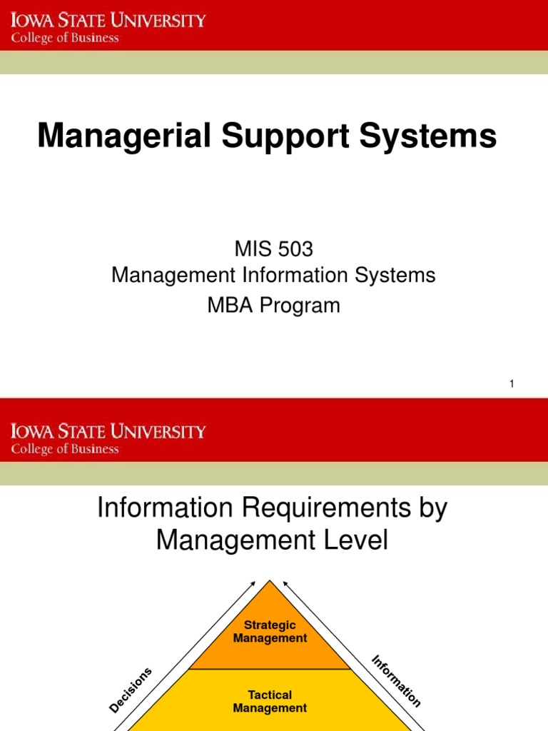Managerial Support Systems - Lecture Fall 2008 | PDF | Decision Support ...