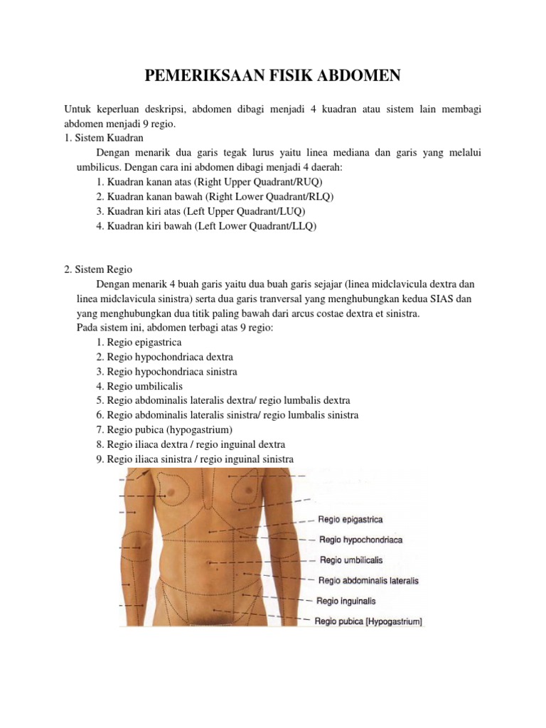 Pemeriksaan Fisik Abdomen