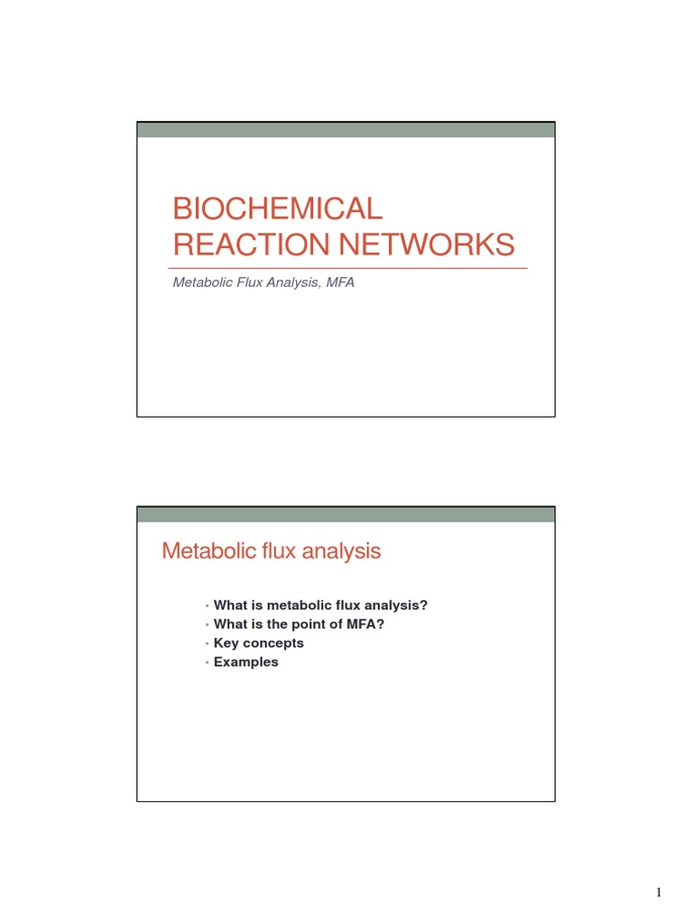 Biochemical Reaction Networks: Metabolic Flux Analysis | PDF | Metabolic Pathway | Stoichiometry