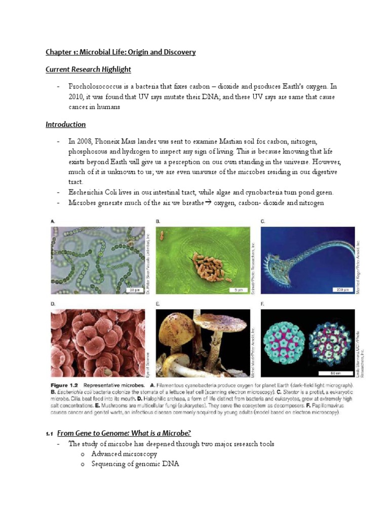 Chapter 1 Microbial Life Origin and Discovery | PDF | Microorganism ...
