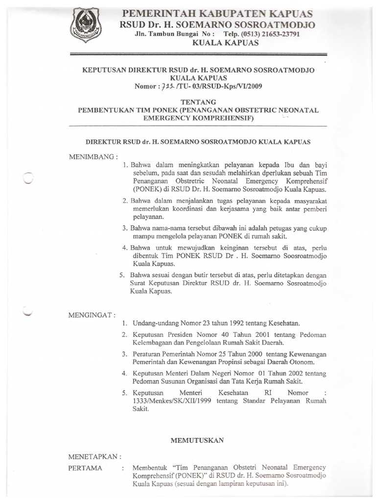 Contoh SK Tim Ponek RS Kapuas | PDF