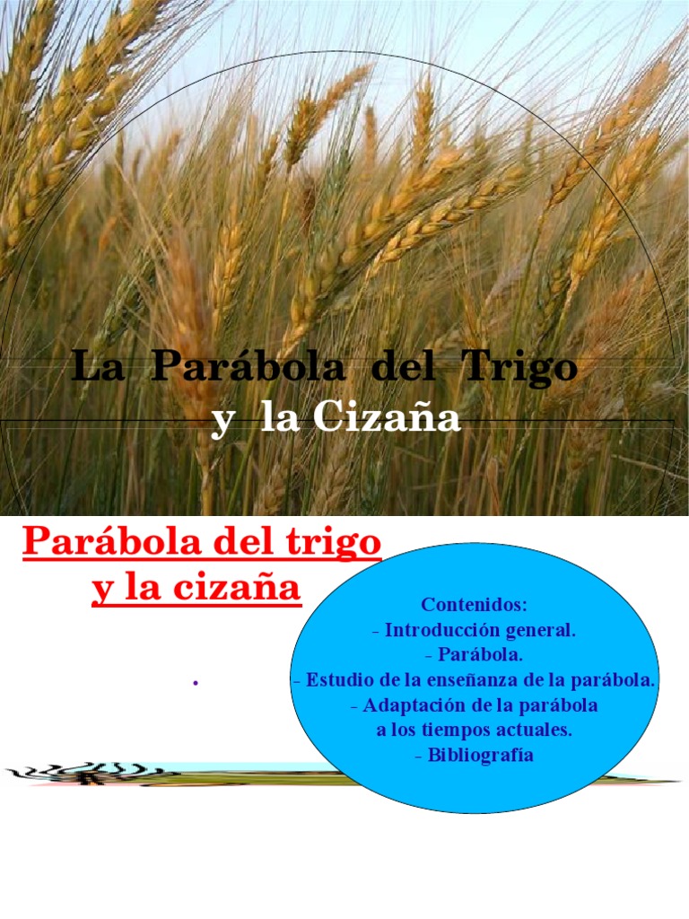 El Trigo y La Cizaña | PDF | Religión y creencia