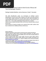 Coral Identification Guide for Divers | PDF | Coral | Coral Reef