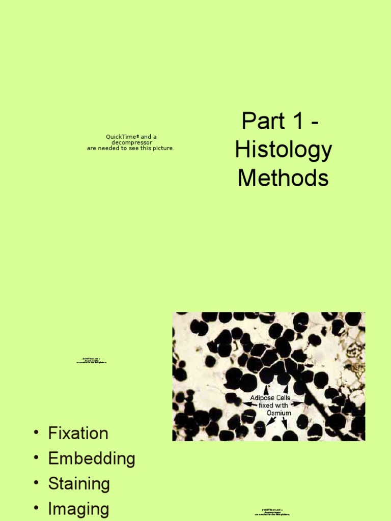 Part 1 - Histology Methods: Quicktime and A Decompressor Are Needed To ...