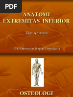 Pemahaman Tractus Urinaria dan Fisiologinya | PDF