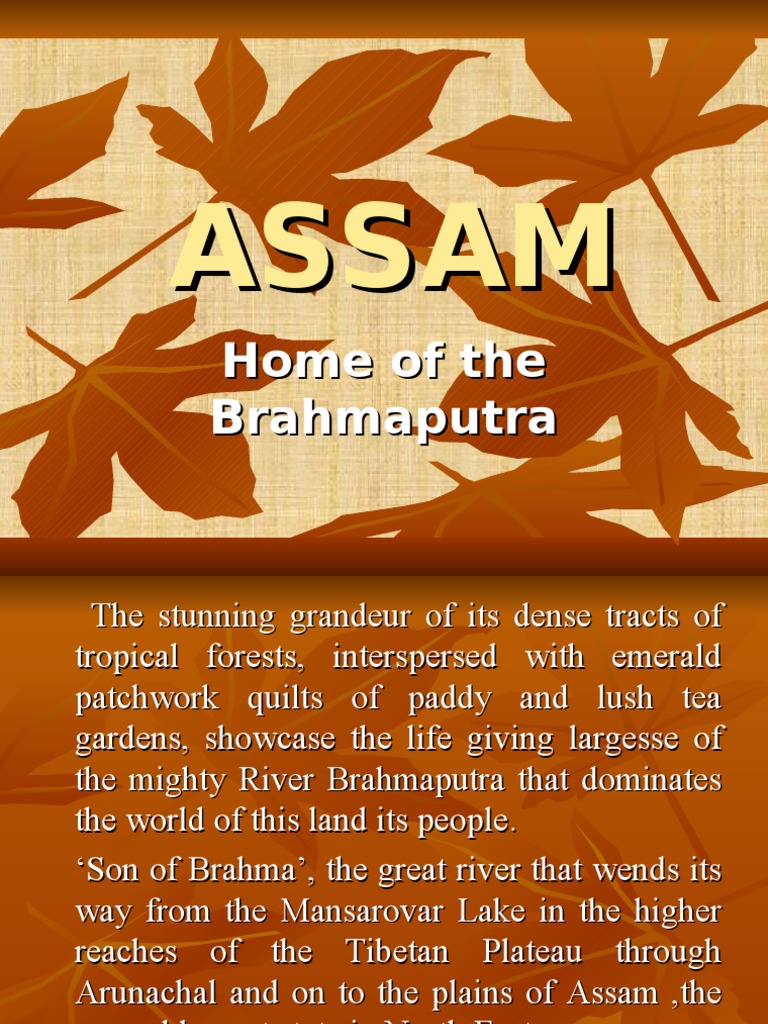 Assam | PDF
