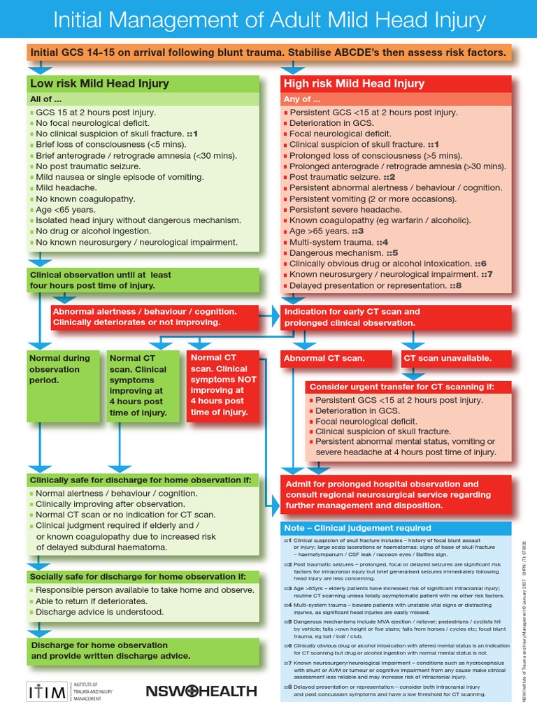 Guideline for the Initial Management of Adult Mild Head Injury Based on ...
