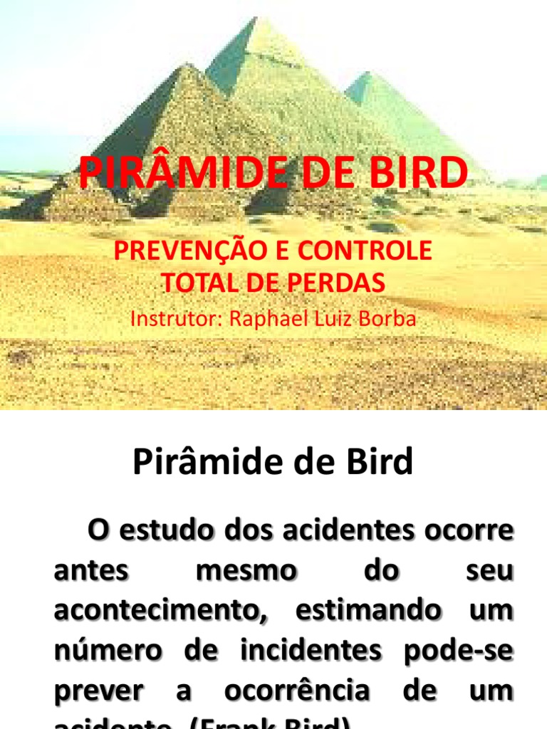 Pirâmide de Bird | PDF