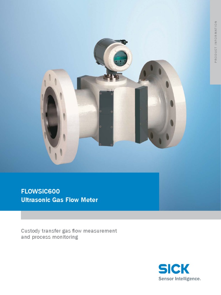 Flow Sic 600 | PDF | Flow Measurement | Ultrasound
