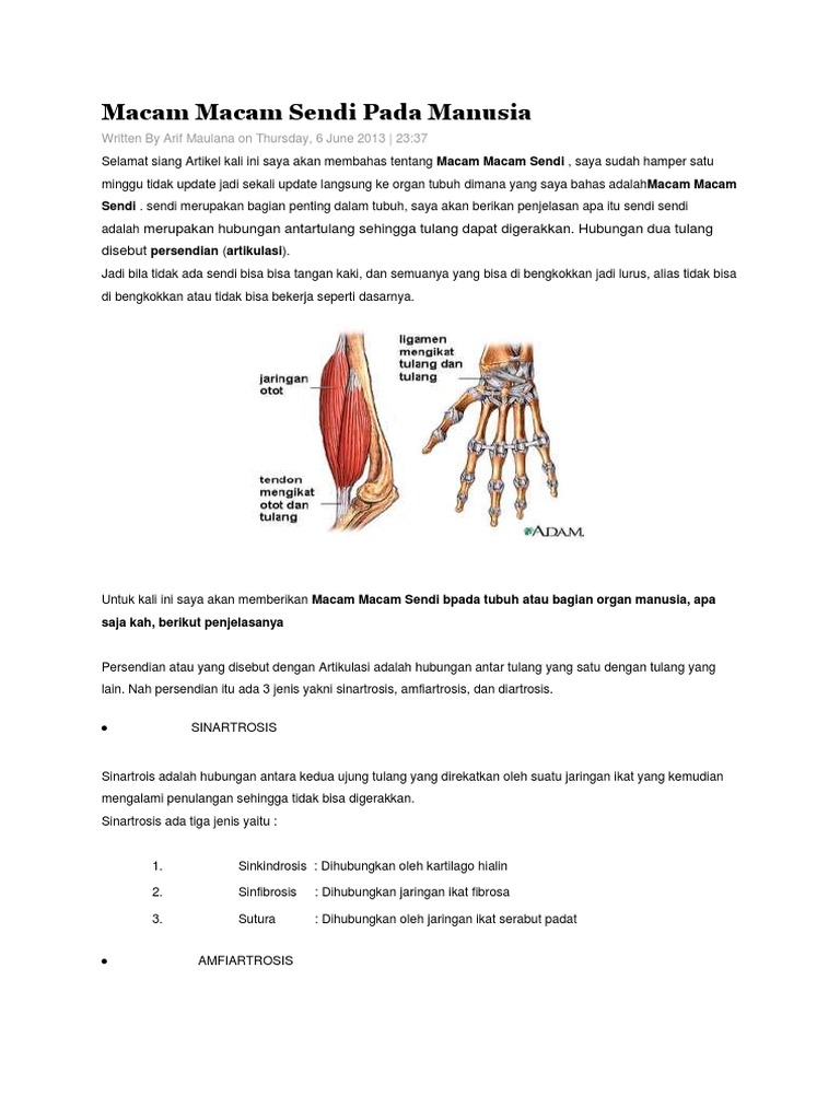 Macam Macam Sendi Pada Manusia | PDF