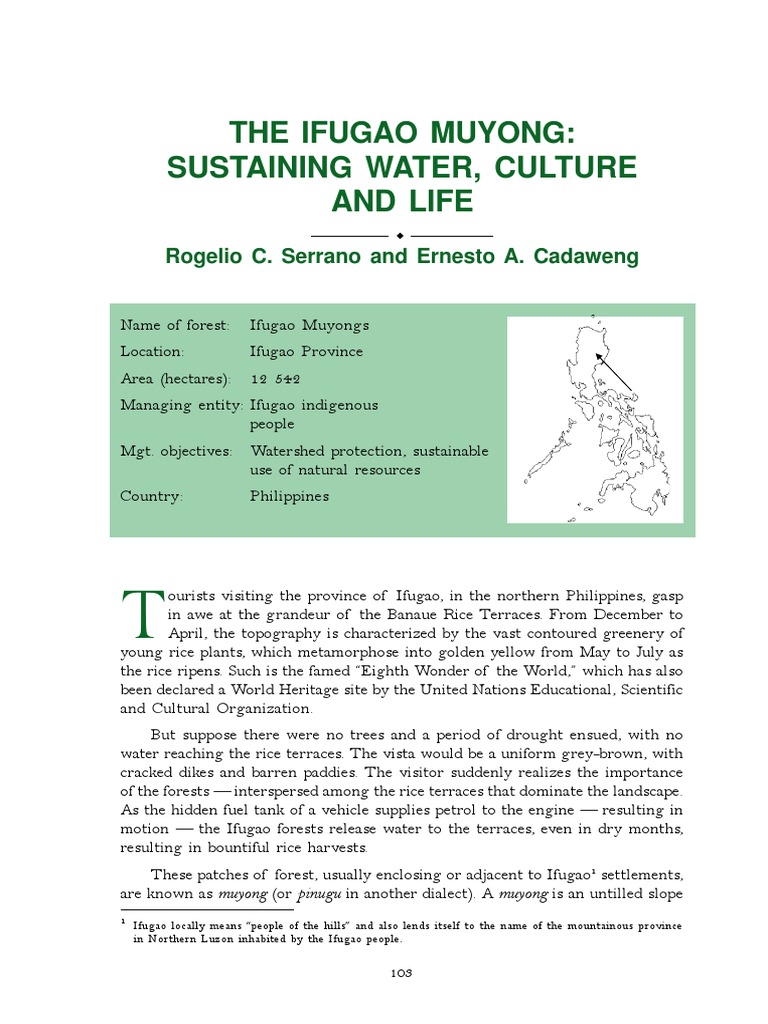 Muyong | PDF | Rice | Trees