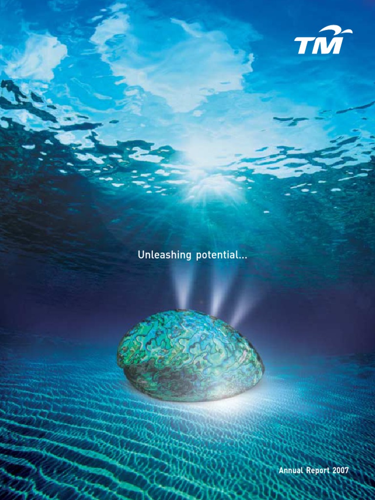 AR2007 | PDF | Proxy Voting | Dividend