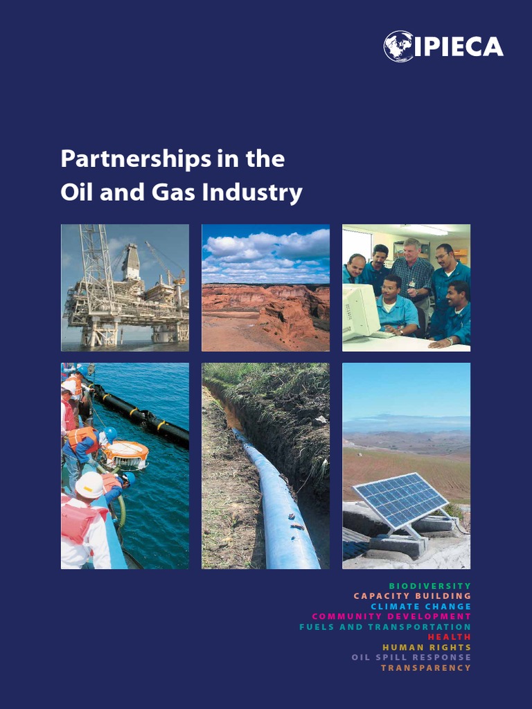 Partnerships in The Oil and Gas Industry | PDF | Capacity Building ...