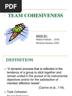 Sports Psych - Carron's Model | PDF | Leadership | Group Cohesiveness