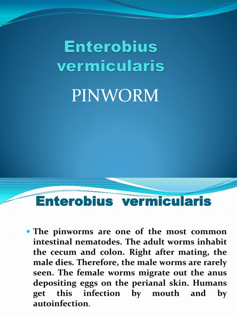 7 Pinworm | PDF | Microbiology | Veterinary Medicine