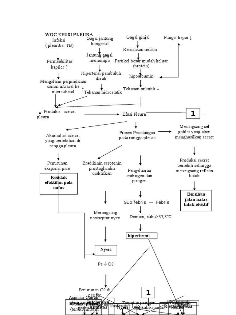 Woc Efusi Pleura: Sub Febris - Febris | PDF | Kesehatan Holistik