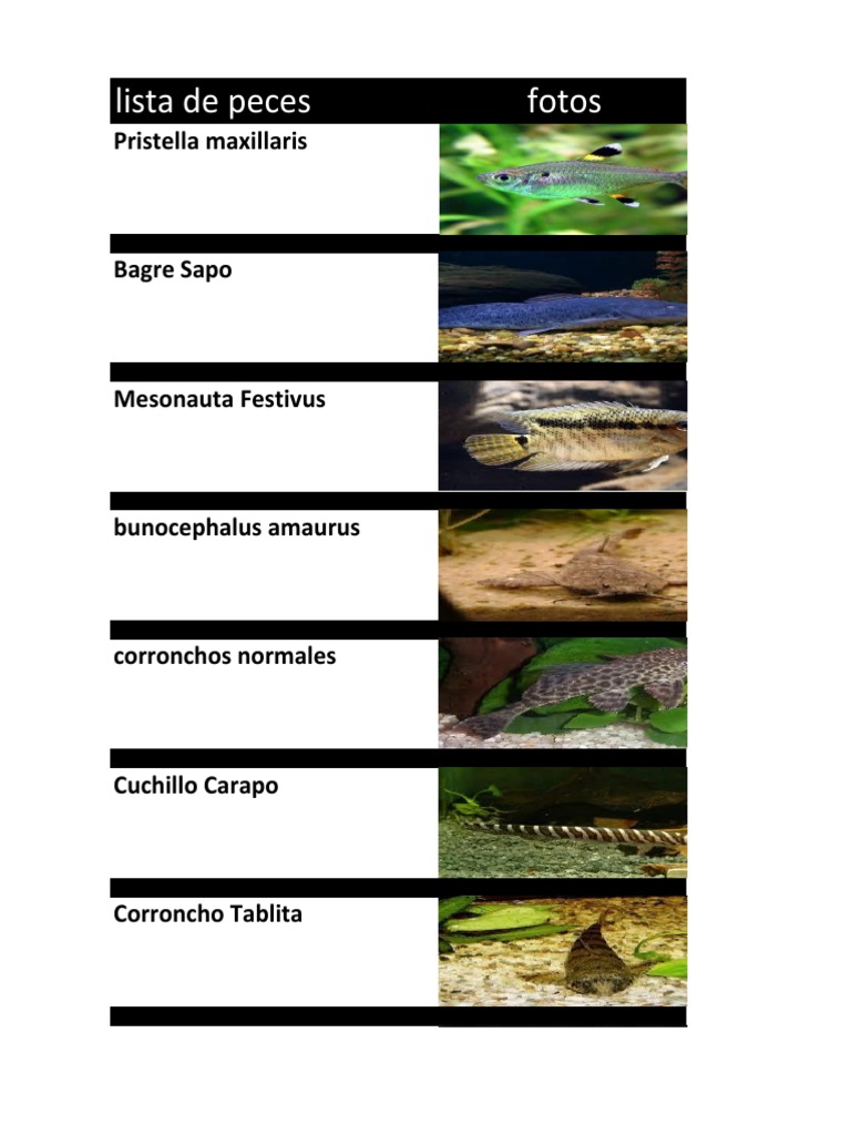 Tabla De Tipos De Peces De Agua Dulce