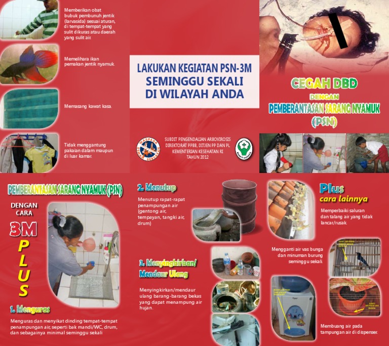 Leaflet DBD | PDF