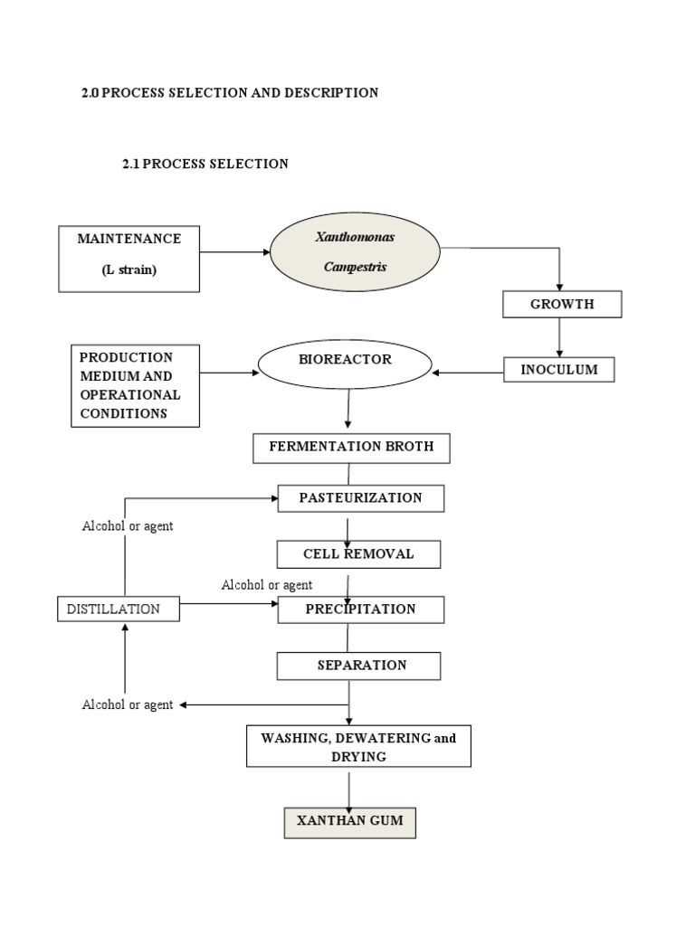 Xanthan Gum Process | Chemistry | Nature