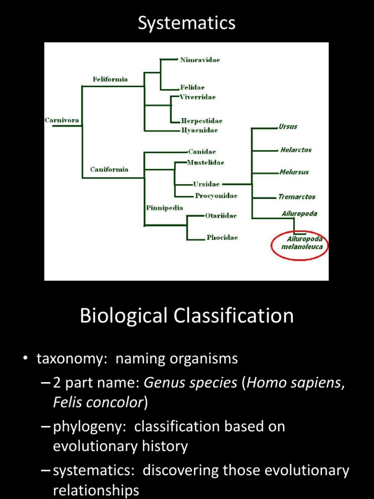 Biology 100 Chapter 18 | PDF | Taxonomy (Biology) | Homology (Biology)