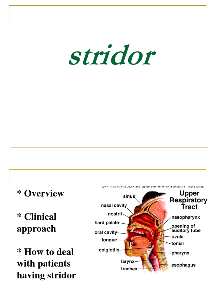 18 - Stridor | Respiratory Tract | Medicine