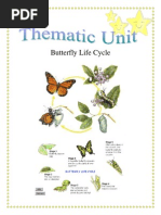 5 E Lesson Plan For Second Grade Life Cycles | PDF | Pupa | Butterfly