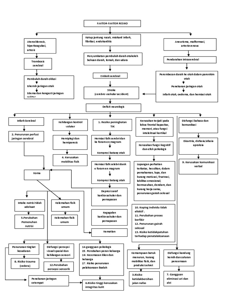 Patoflow Stroke | PDF