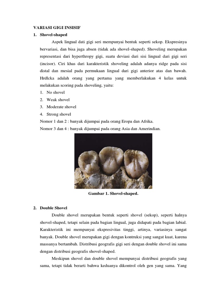 Variasi Gigi Insisif | PDF