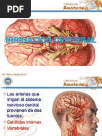 Miotomas - Definición y Pruebas - Kenhub | PDF | Codo | Neuroanatomía