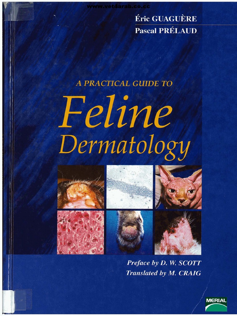 A Practical Guide To Feline Dermatology | PDF | Epidermis | Cutaneous ...