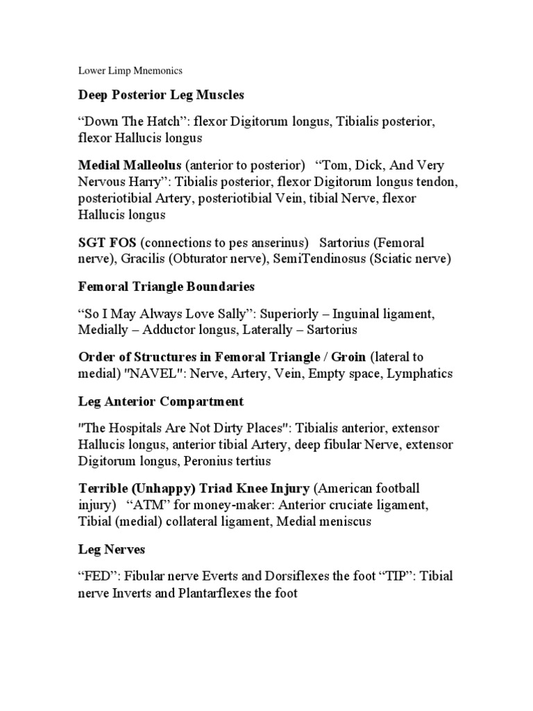 Lower Limp Mnemonics | PDF | Human Leg | Foot