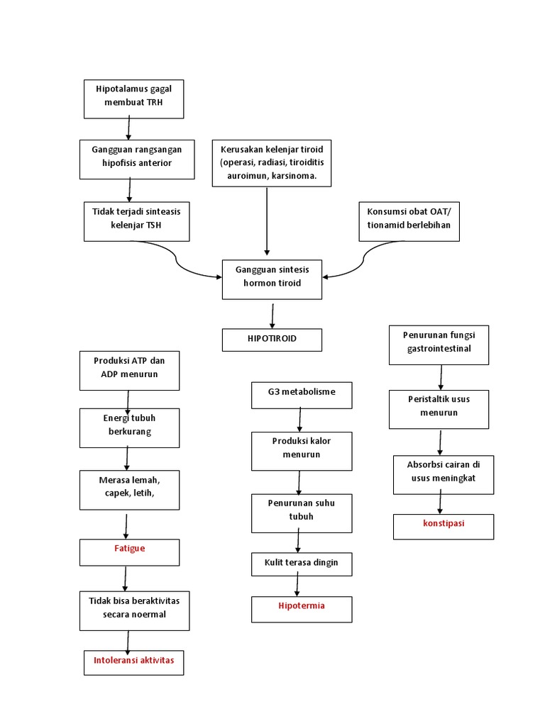 Patofisiologi Hipotiroid | PDF | Kesehatan Holistik