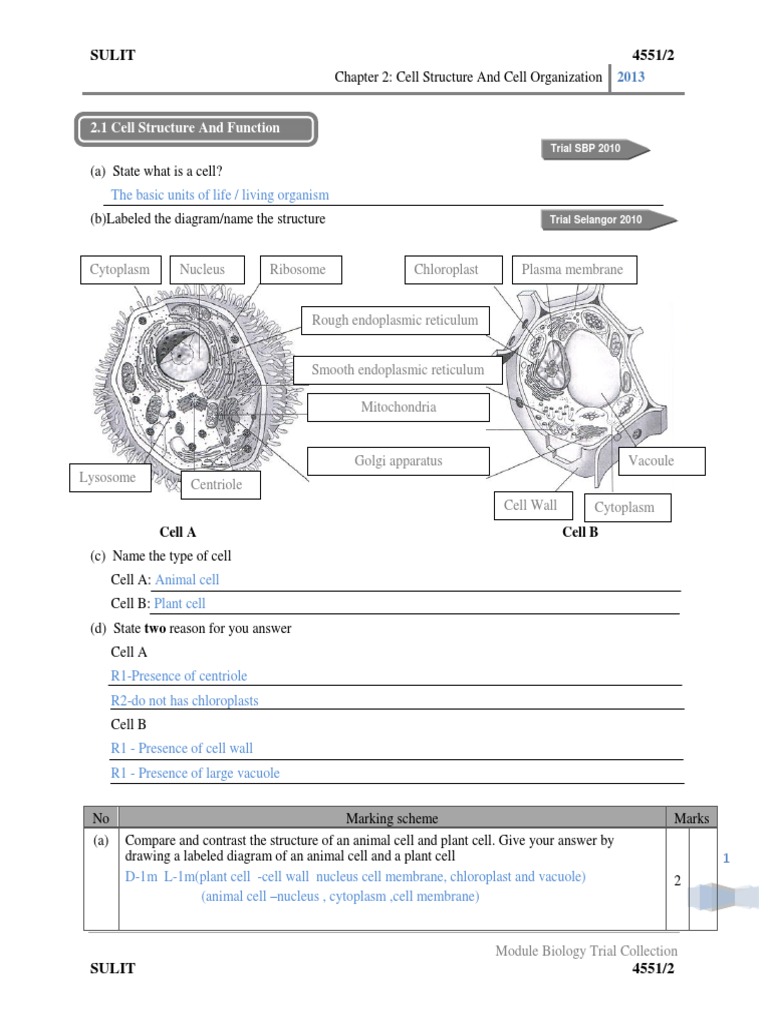 BIOLOGY FORM 4 Chapter 2 | PDF | Endoplasmic Reticulum | Tissue (Biology)