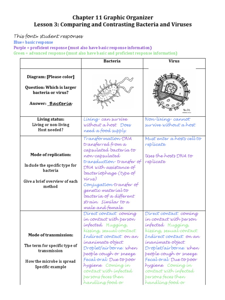 Graphic Organizer | PDF | Hiv/Aids | Microbiology