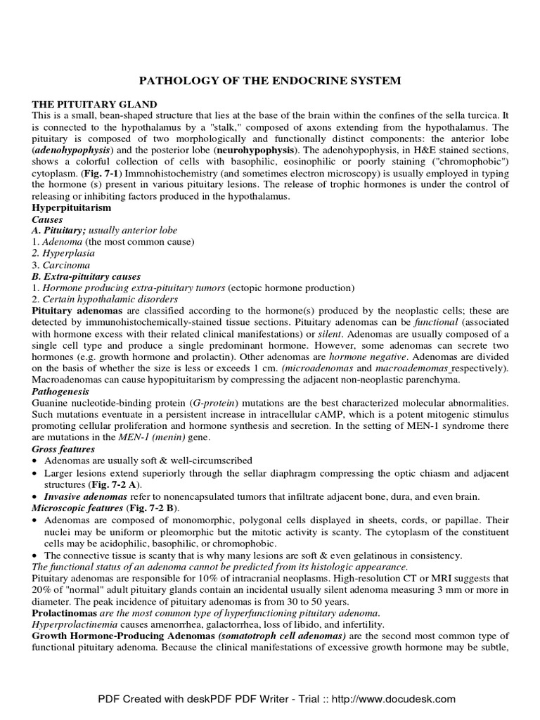 Pathology of The Endocrine System: Causes A. Pituitary Usually Anterior Lobe | Descargar gratis ...