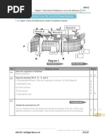Science Form 3 Chapter 1 Stimulus & Response (Multiple Choice Questions ...