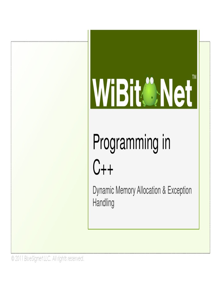 Dynamic Memory Allocation Exception Handling | PDF | Pointer (Computer ...