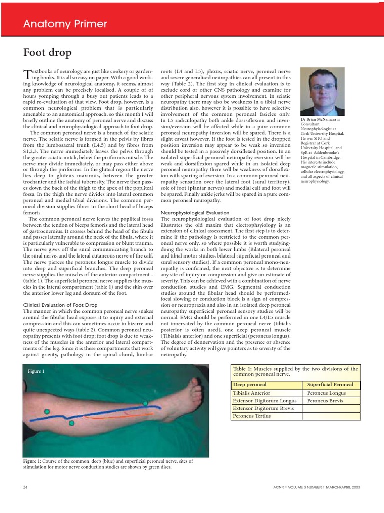 Foot Drop | PDF | Peripheral Neuropathy | Foot