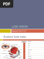 Panduan Rehabilitasi Low Vision | PDF