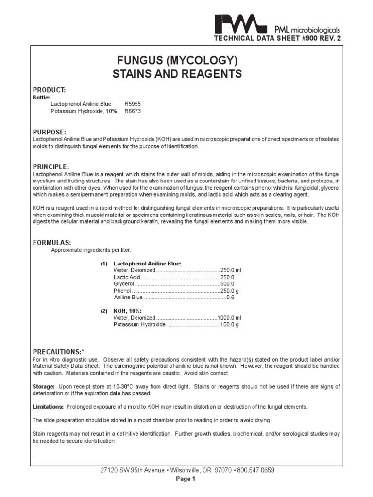 Fungus (Mycology) | PDF | Staining | Fungus