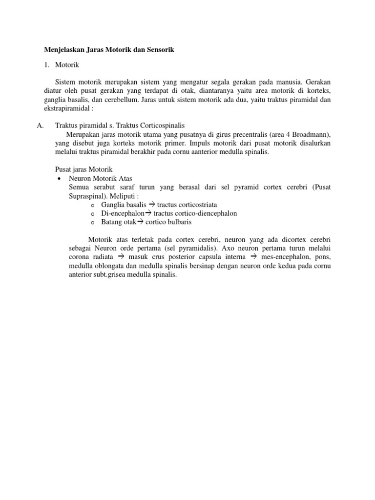 Menjelaskan Jaras Motorik Dan Sensorik | PDF