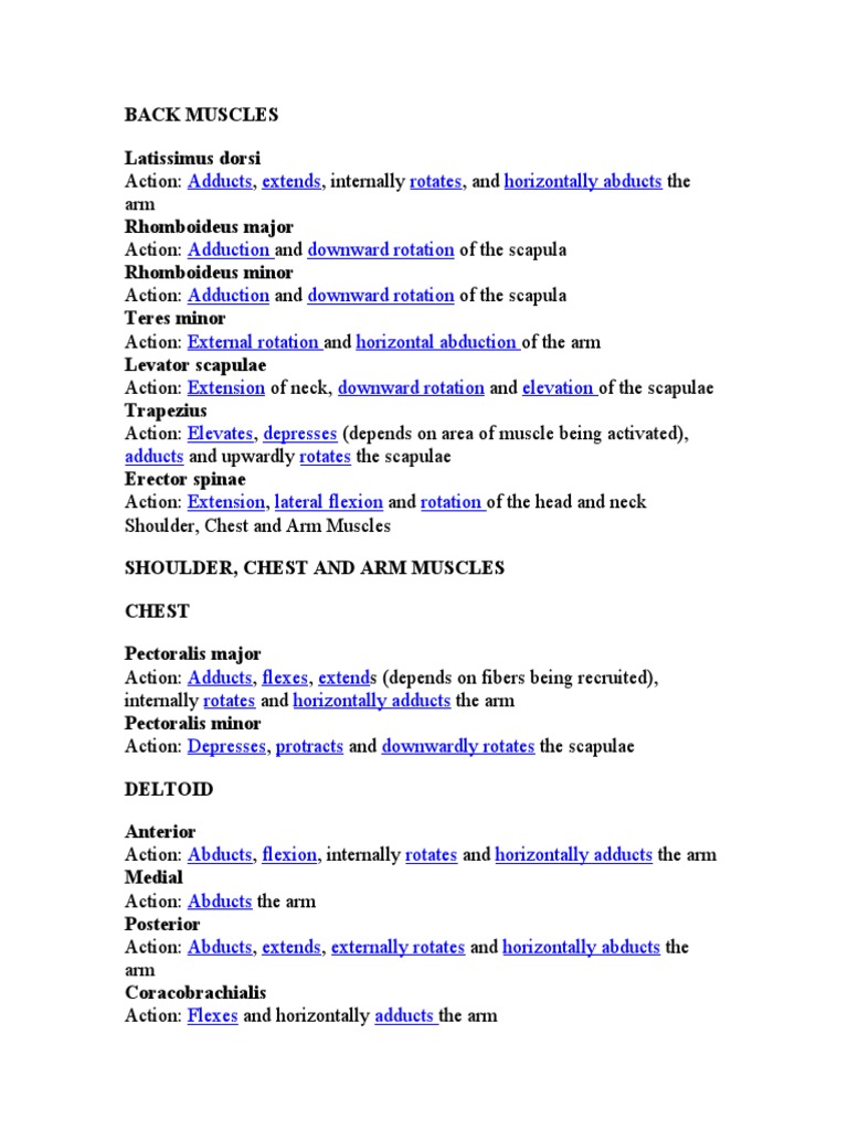Complete Muscle Action | PDF | Anatomical Terms Of Motion | Arm