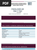 Modelo de Rothman | PDF