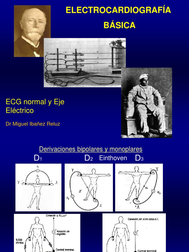 Ecgnormal Eje Electrico | PDF | Electrocardiografia | Corazón